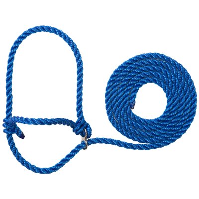 Licou d'Apprentissage Weaver pour Bovin - Bleu